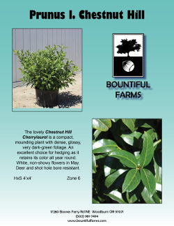 Bountiful Farms | Highlights