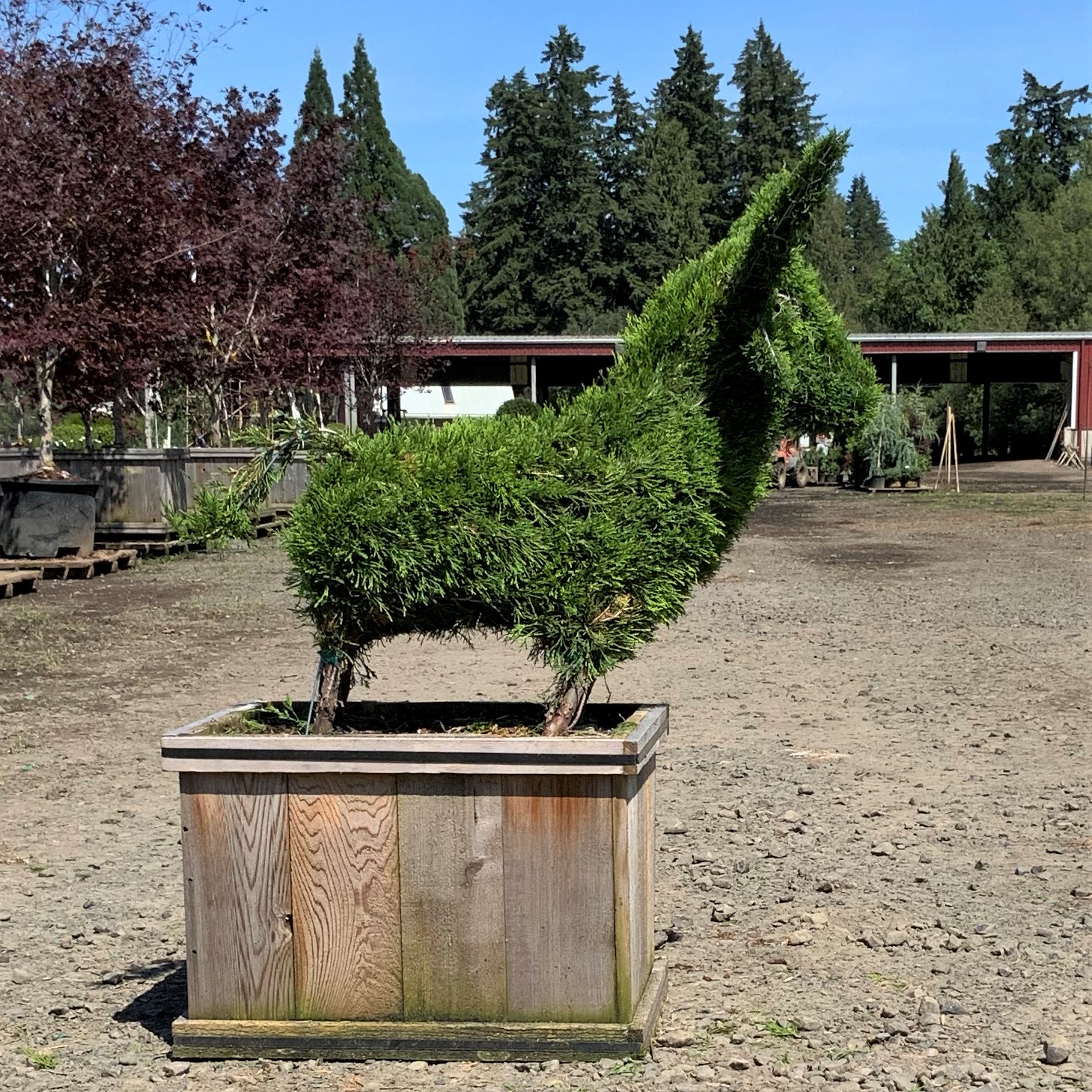 Bountiful Farms | Sculptured Collection