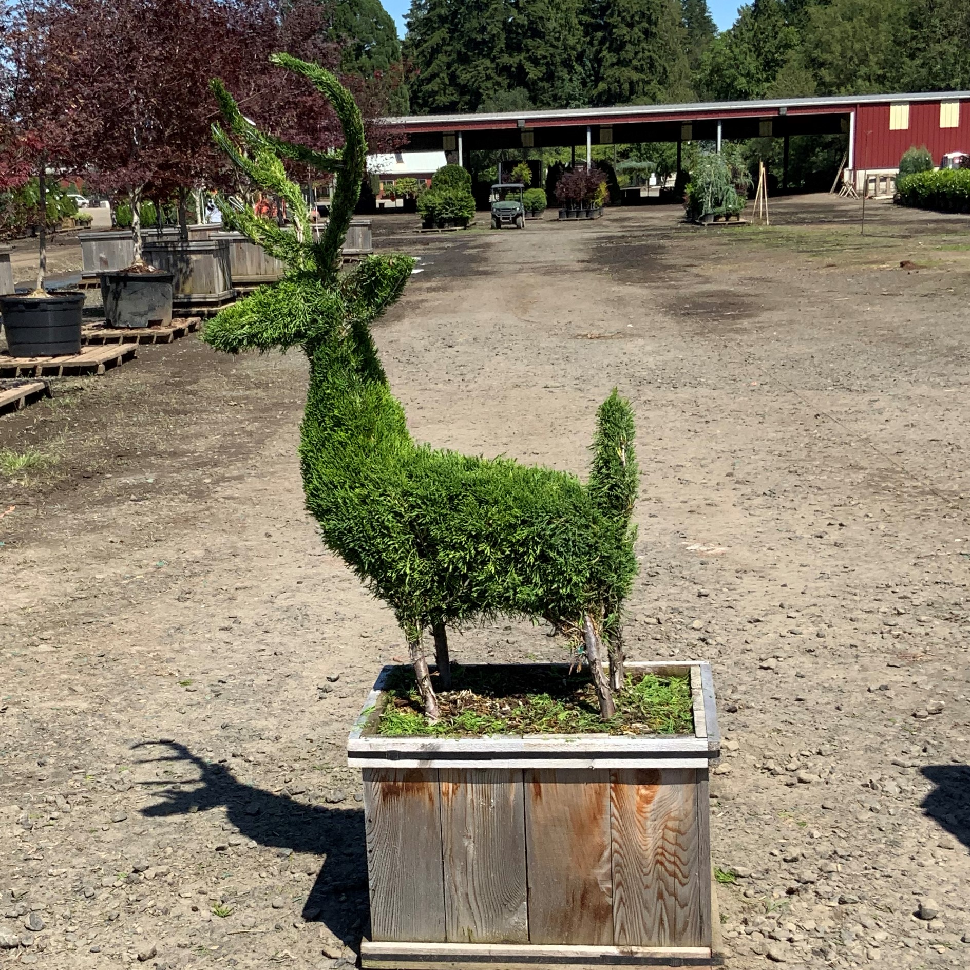 Bountiful Farms | Sculptured Collection