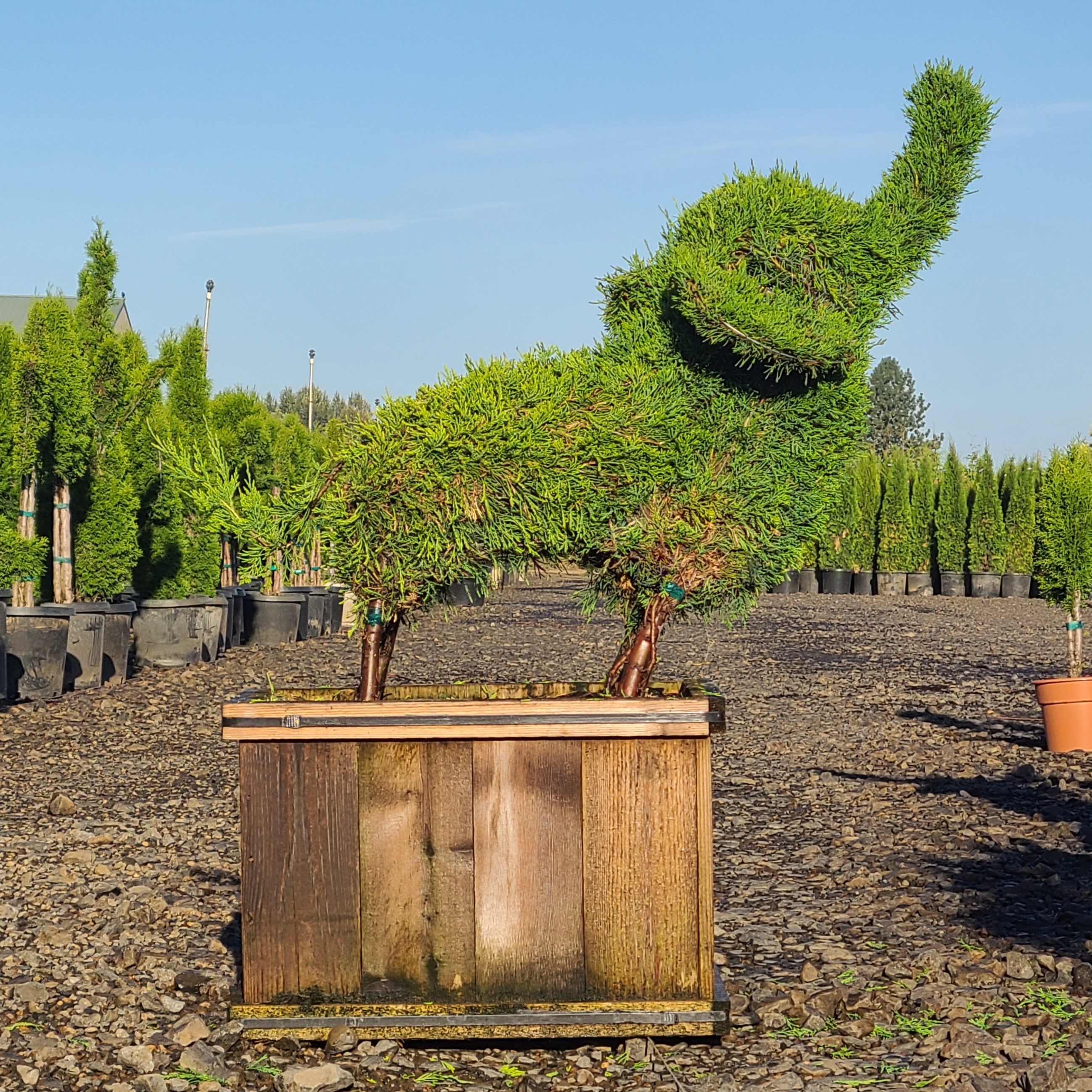 Bountiful Farms | Sculptured Collection