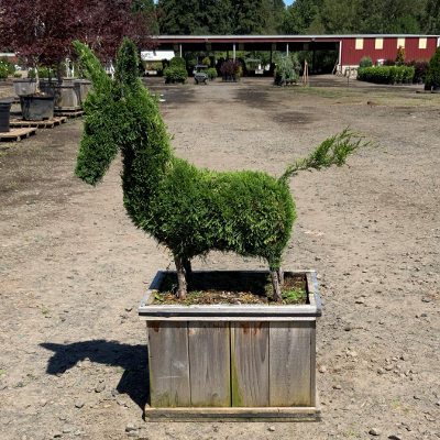 Bountiful Farms | Sculptured Collection