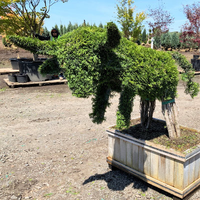Bountiful Farms | Sculptured Collection
