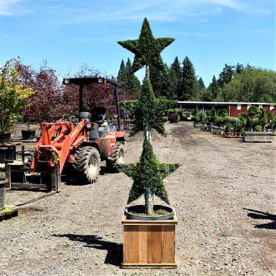 Bountiful Farms | Sculptured Collection